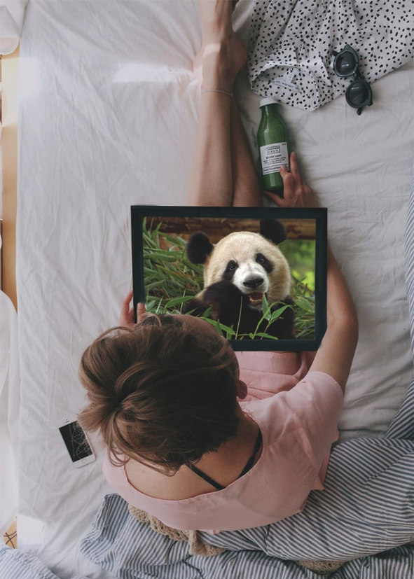 LAP TRAY PANDA BEAR RELAXING WILD HOME GIFT